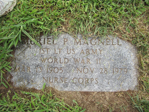 New Zealand Herald Insights