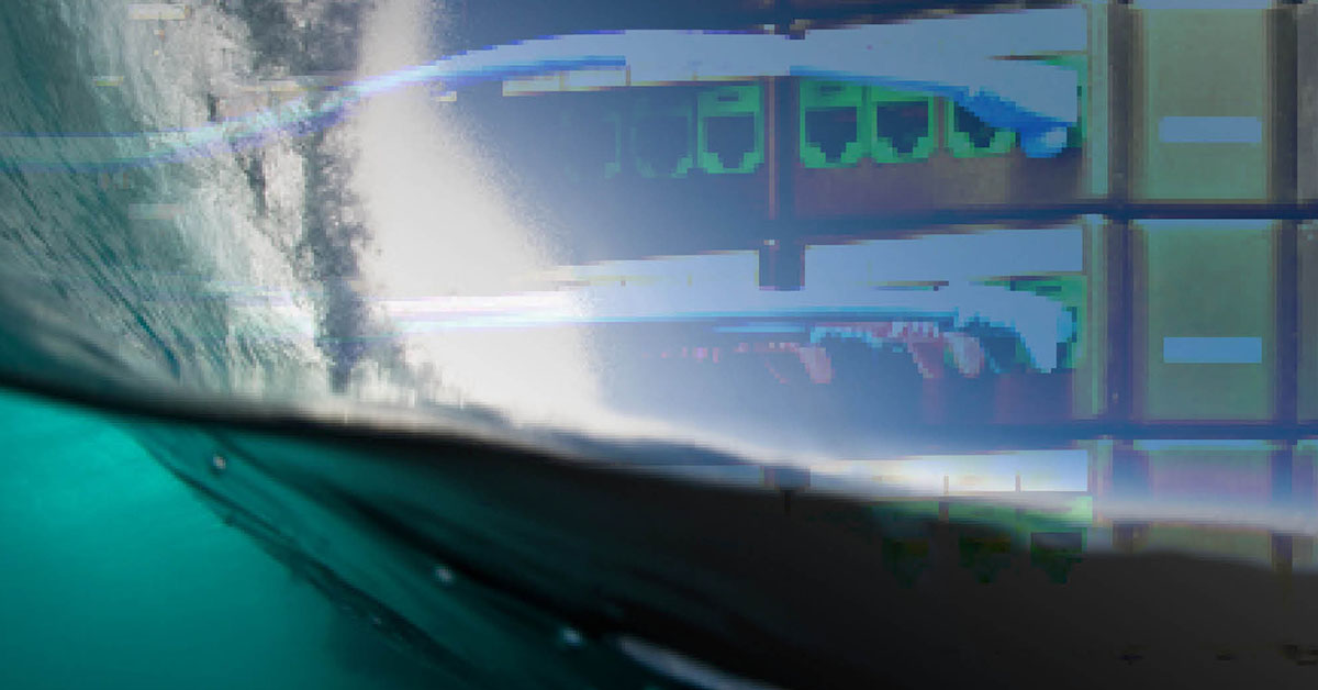 Here's what New Zealand's internet looks like